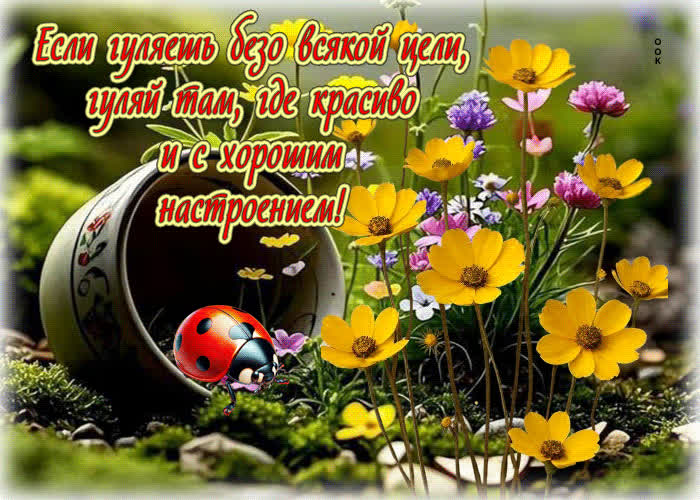 Если гуляешь безо всякой цели, гуляй там, где красиво и с хорошим ...