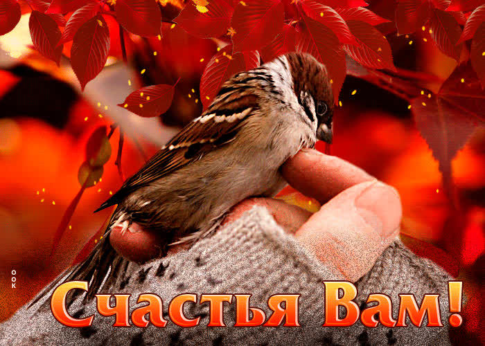 Сказочная гиф открытка с воробушком Счастья вам Скачать бесплатно на
